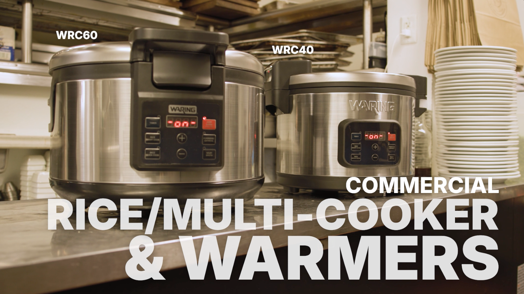 40-Cup Commercial Rice & Multi Cooker w/ Warmer | Waring
